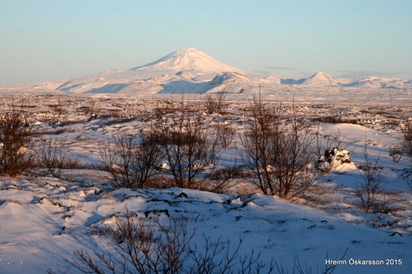 The Mt. Hekla afforestation project | Hekluskógar